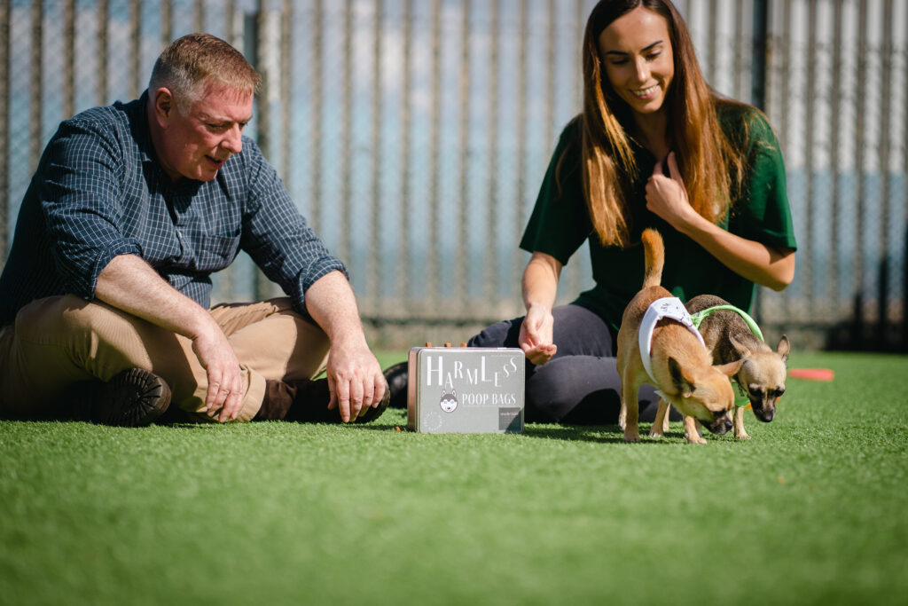 Edinburgh Dog and Cat Home Loves Project Harmless Poop Bags - Edinburgh ...