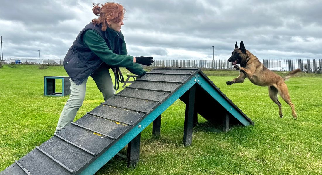 Our Home - Edinburgh Dog & Cat Home