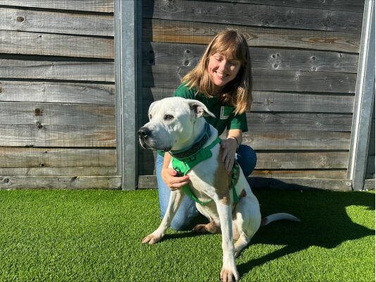 Edinburgh Dog and Cat Home | Love Without Limits