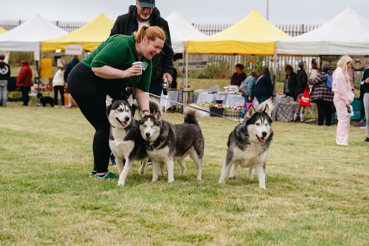 Taily Digest Monthly Newsletter - Edinburgh Dog & Cat Home