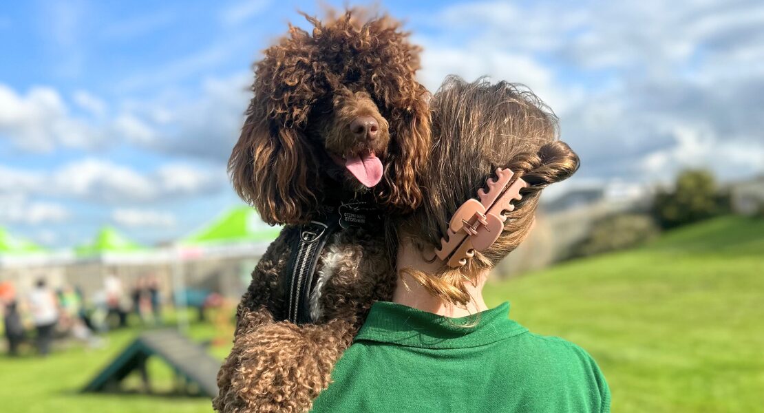 Our Rehoming Process - Edinburgh Dog & Cat Home